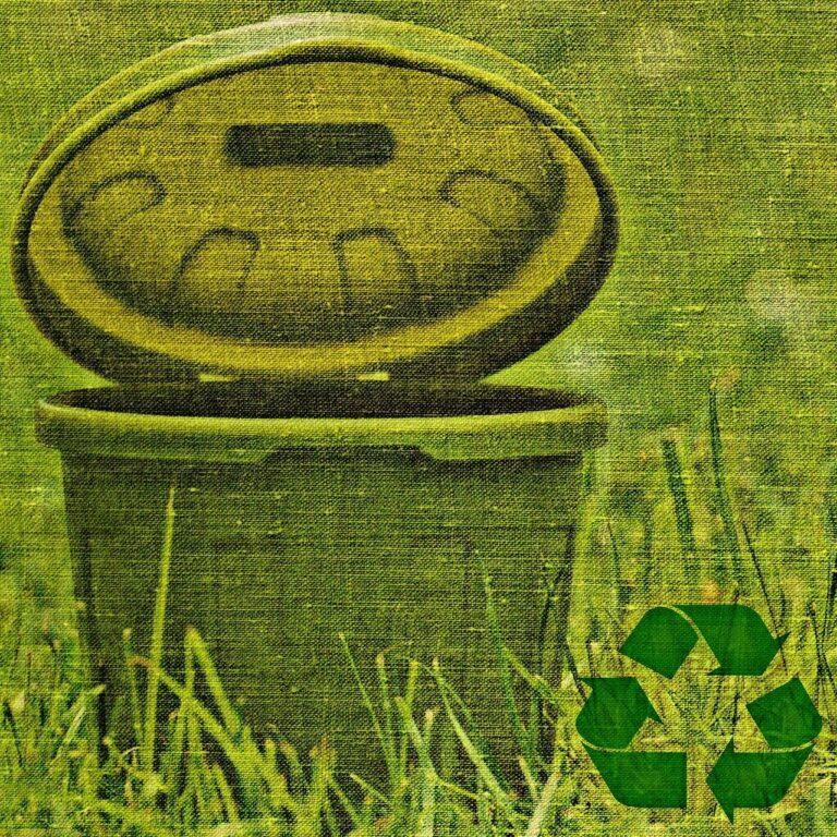 Compost and Circular Economy | Article