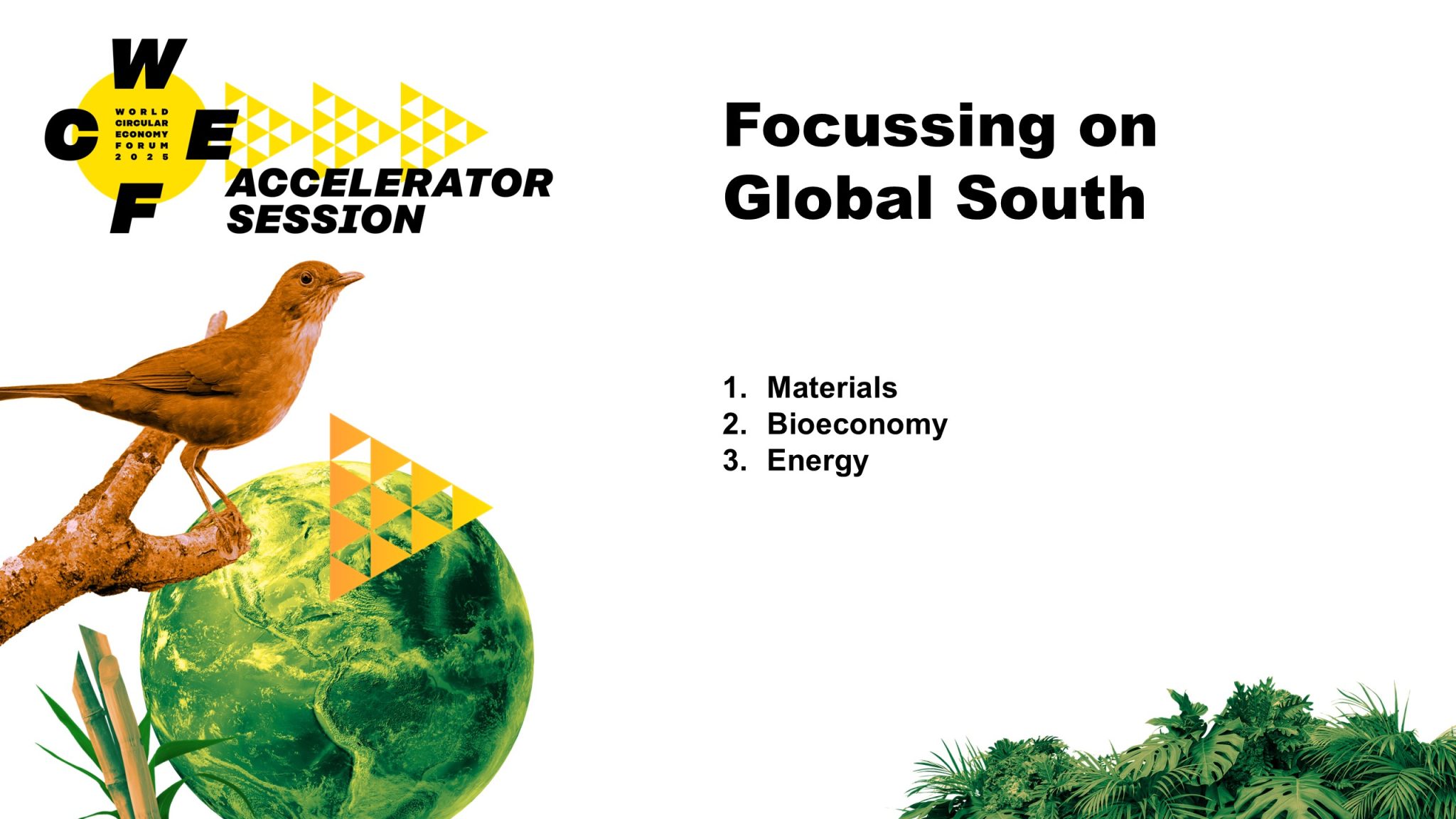 WCEF2025 | Accelerator Session | Energy Transition In GLobal South